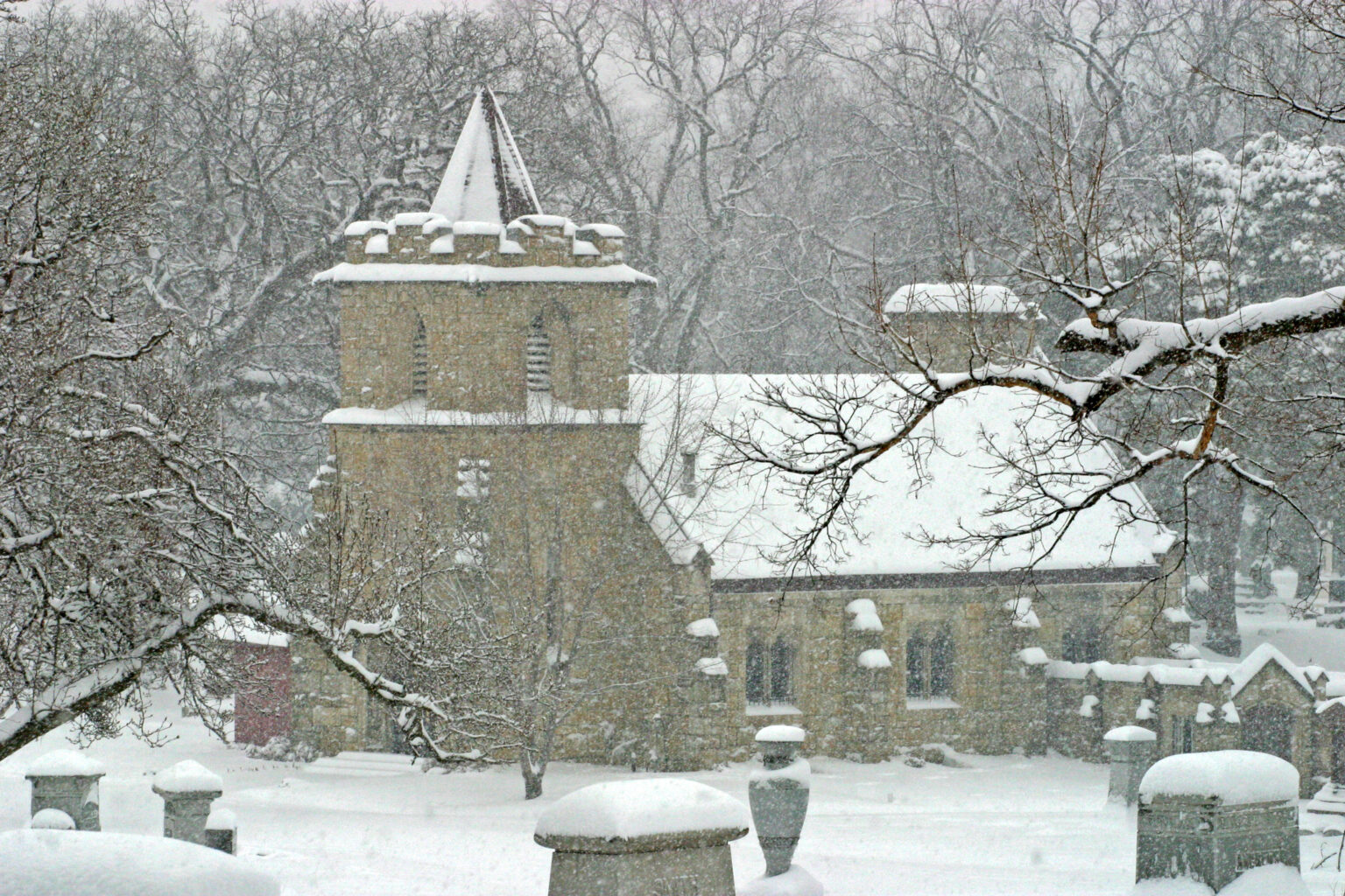 The Grounds - Elmwood Cemetery