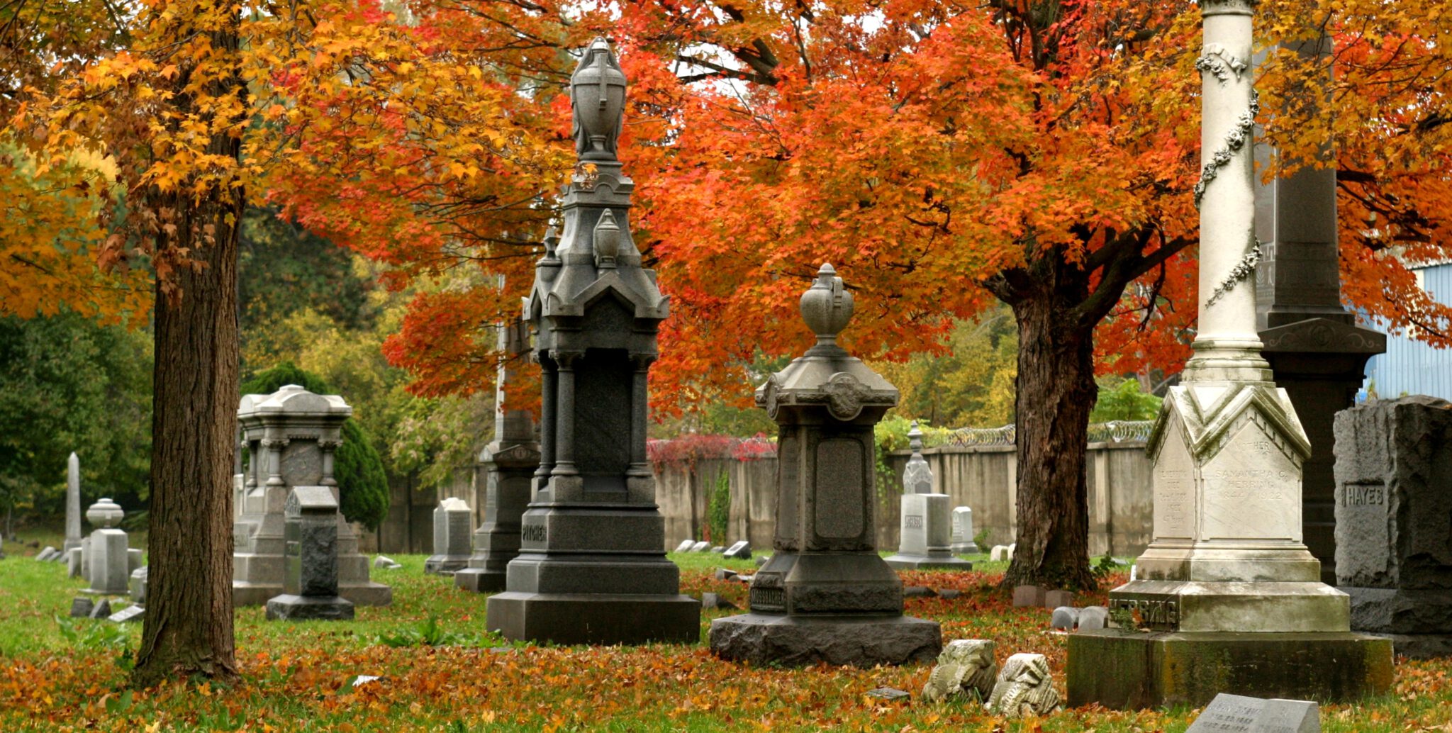 About Elmwood - Elmwood Cemetery